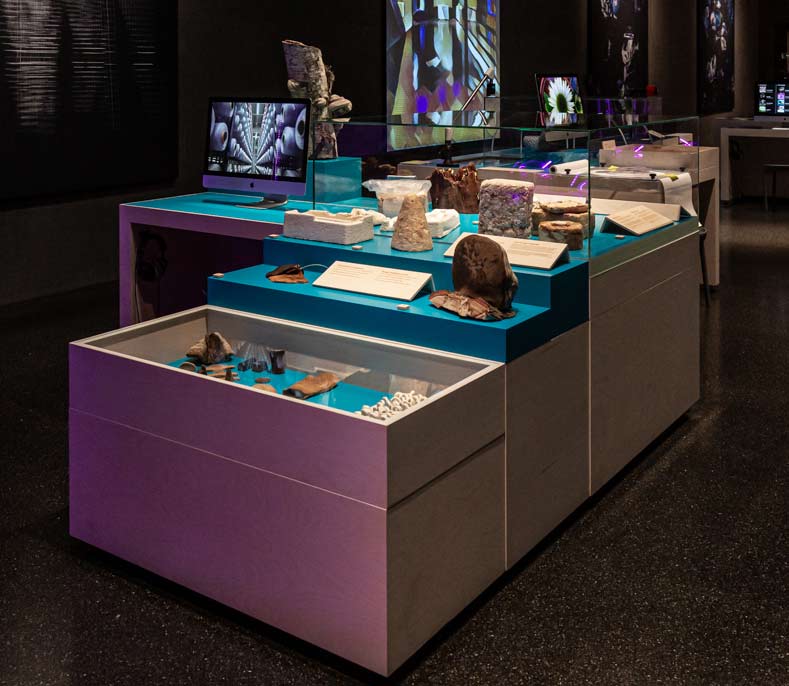 art laboratory berlin: 2020