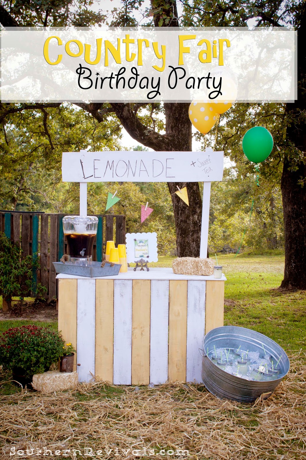 Our Country Fair Birthday Party - Southern Revivals