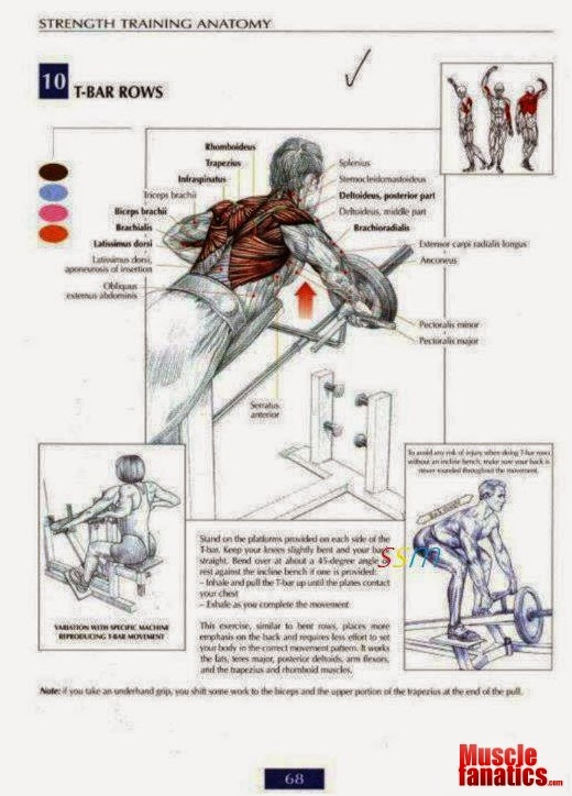 Back workout ~ Tips For Gym