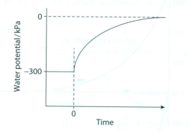 #27 Summary of Cell membrane | Biology Notes for A level