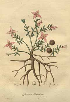 Just a little Witchy : 2017