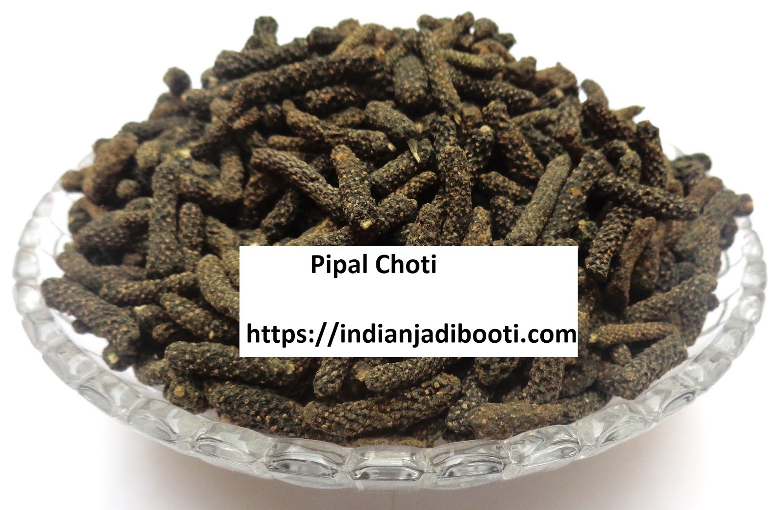 IndianJadiBooti.com: भारतीय पीपली से होगा कैंसर का इलाज , Indian Pipal ...