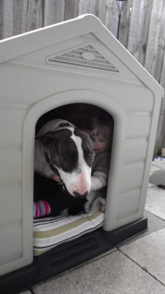 Raising My Little Superheroes : Just a dog named Ruby.