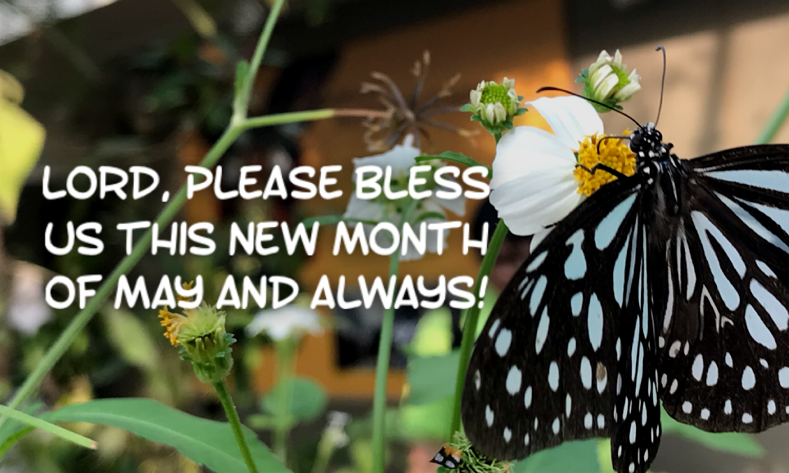 Philippine Catholic Churches: Lord, please bless us this new month of ...