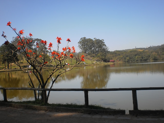 Maisa Alves - O blog Feliz da Vida!: Flores e imagens do Parque do Carmo