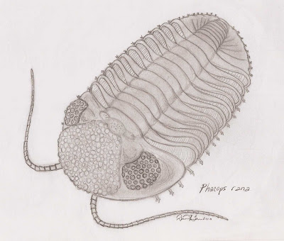 ART Evolved: Life's Time Capsule: July 2010
