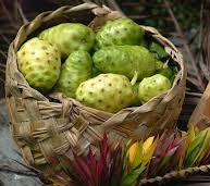 Oye montes: NONI, CONTIENE MARAVILLOSA XERONINA