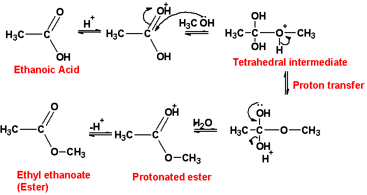 Reaction Mechanism Class 12