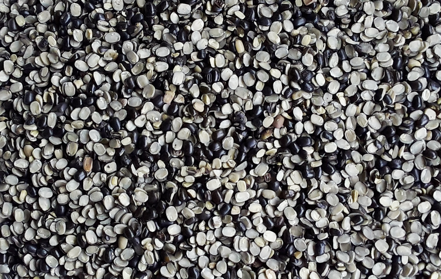 Mouthwatering Food Recipes: 338) KHARKHARI BAKRI / BHAKRI