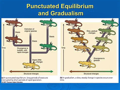 Cataclysmic Continental Shift: Punctuated Equilibrium: What Causes It?