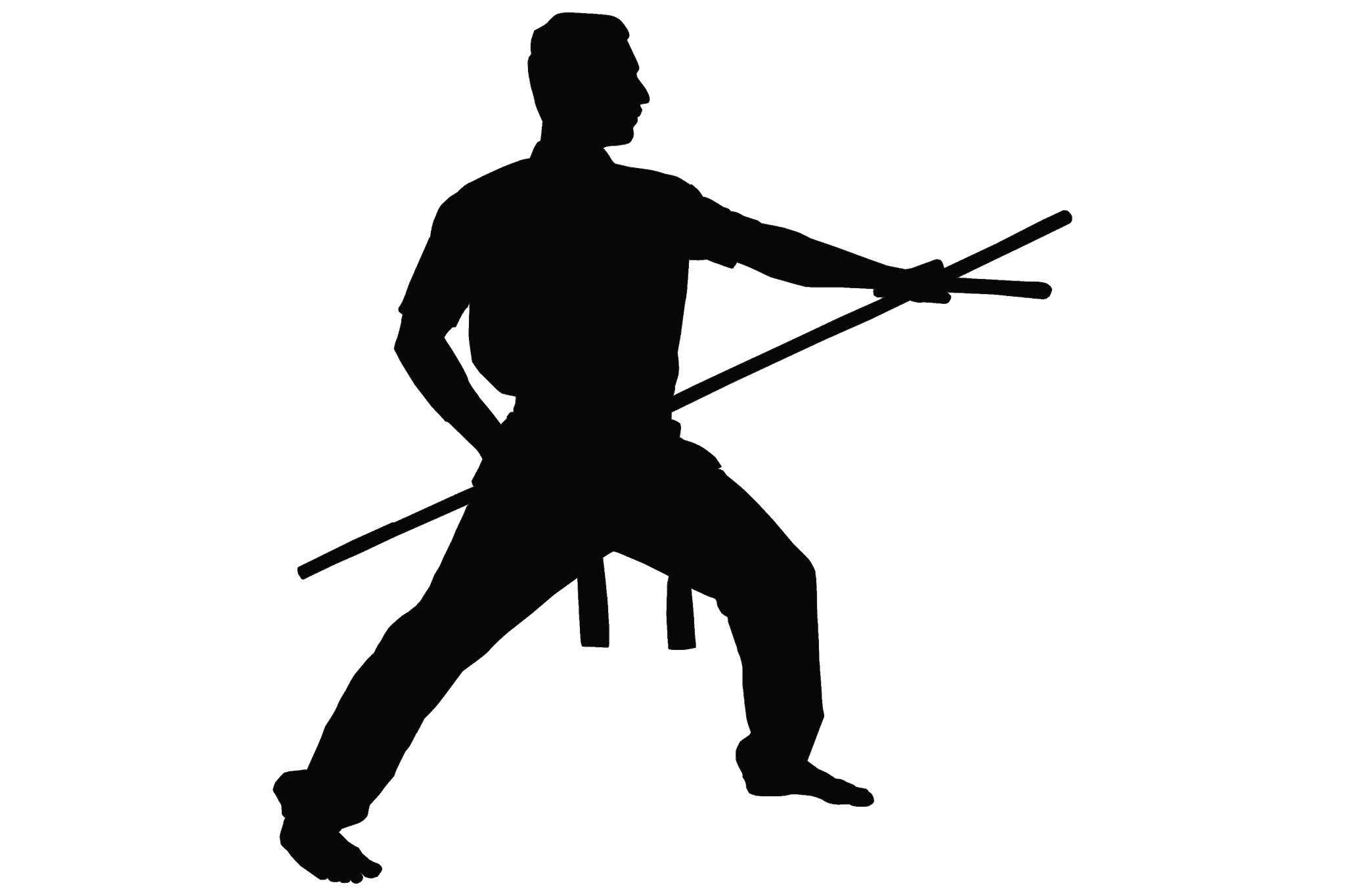Panchabootha International Martial Arts Academy: Silambam Clipart , vector