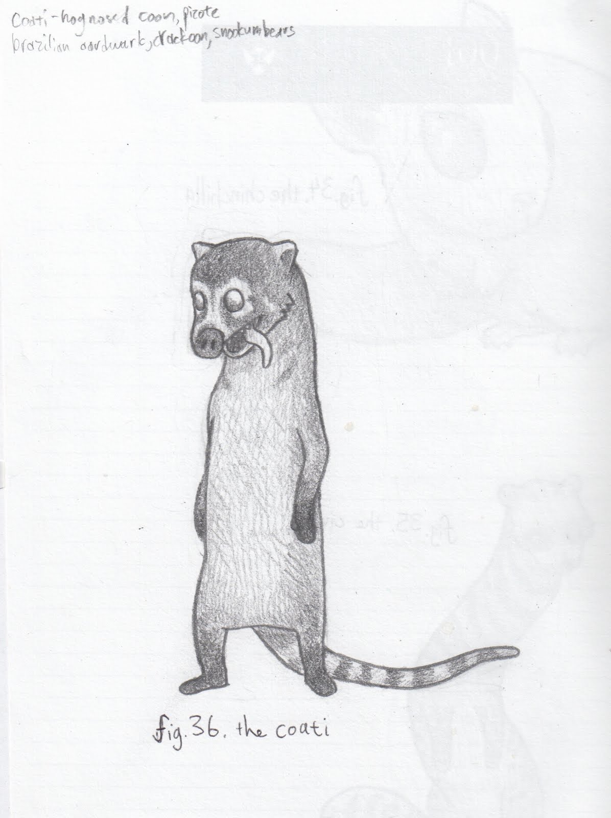 Jun Makes Stuff: #51 The Coati