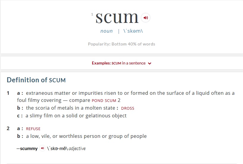 Musings From My Journey: Why I Will Never Be a Skumfuk, The Power of Words