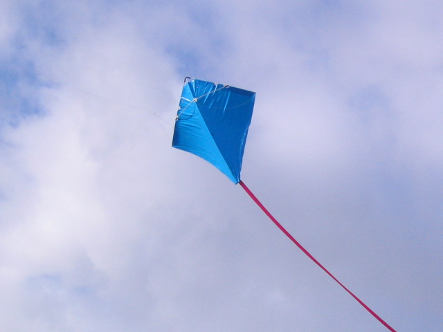 Peter Powell kites collection: Our first Peter Powell kite