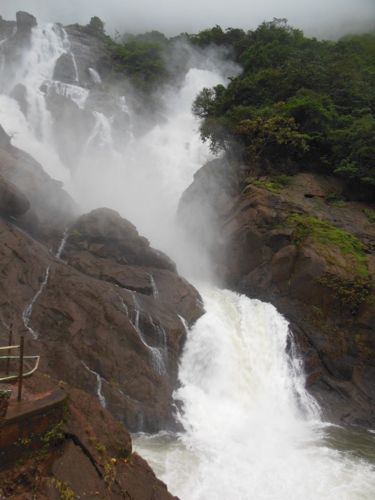 SHRIVI's TRAVELOGUES: Exploring the beauty of the Western Ghats - A ...