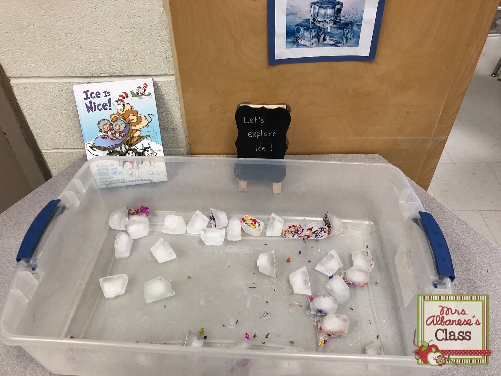 Our Arctic Inquiry | Mrs. Albanese's Kindergarten Class