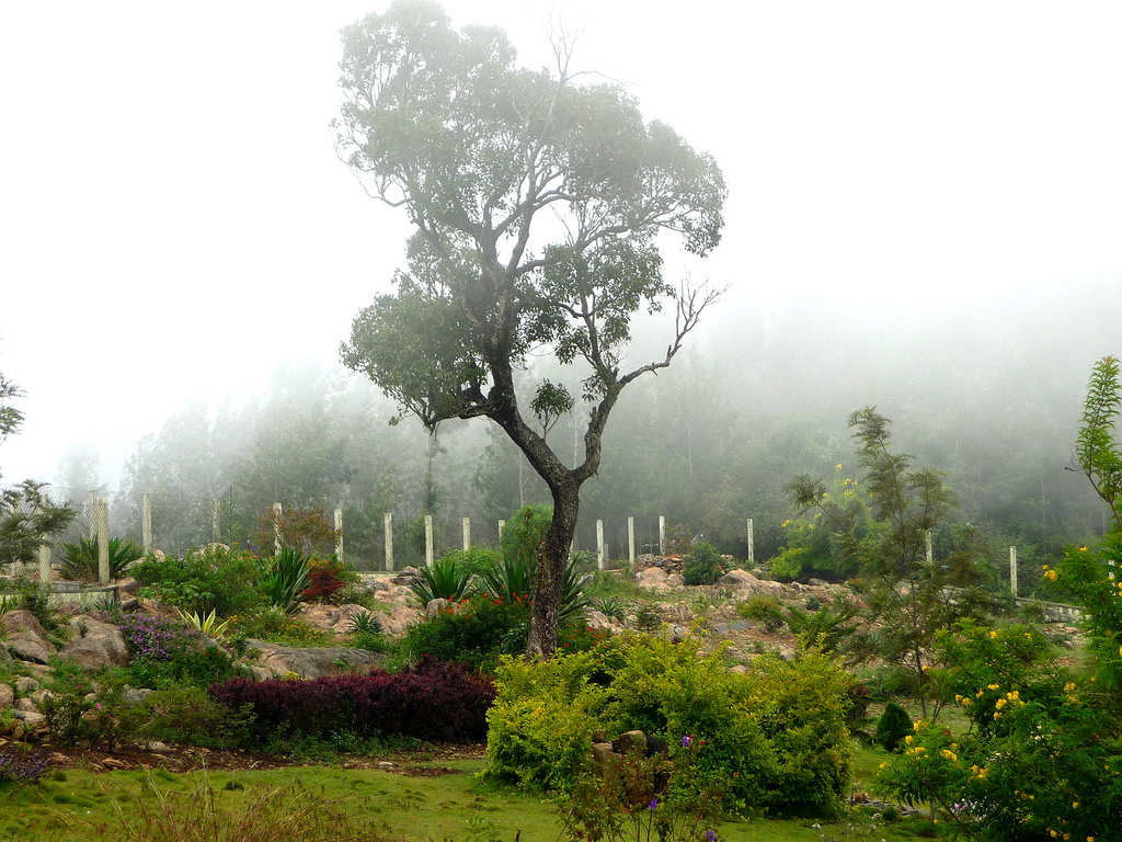 VaaLoo: Awesome Thimbam Ghat Hills Road-Tamil Nadu