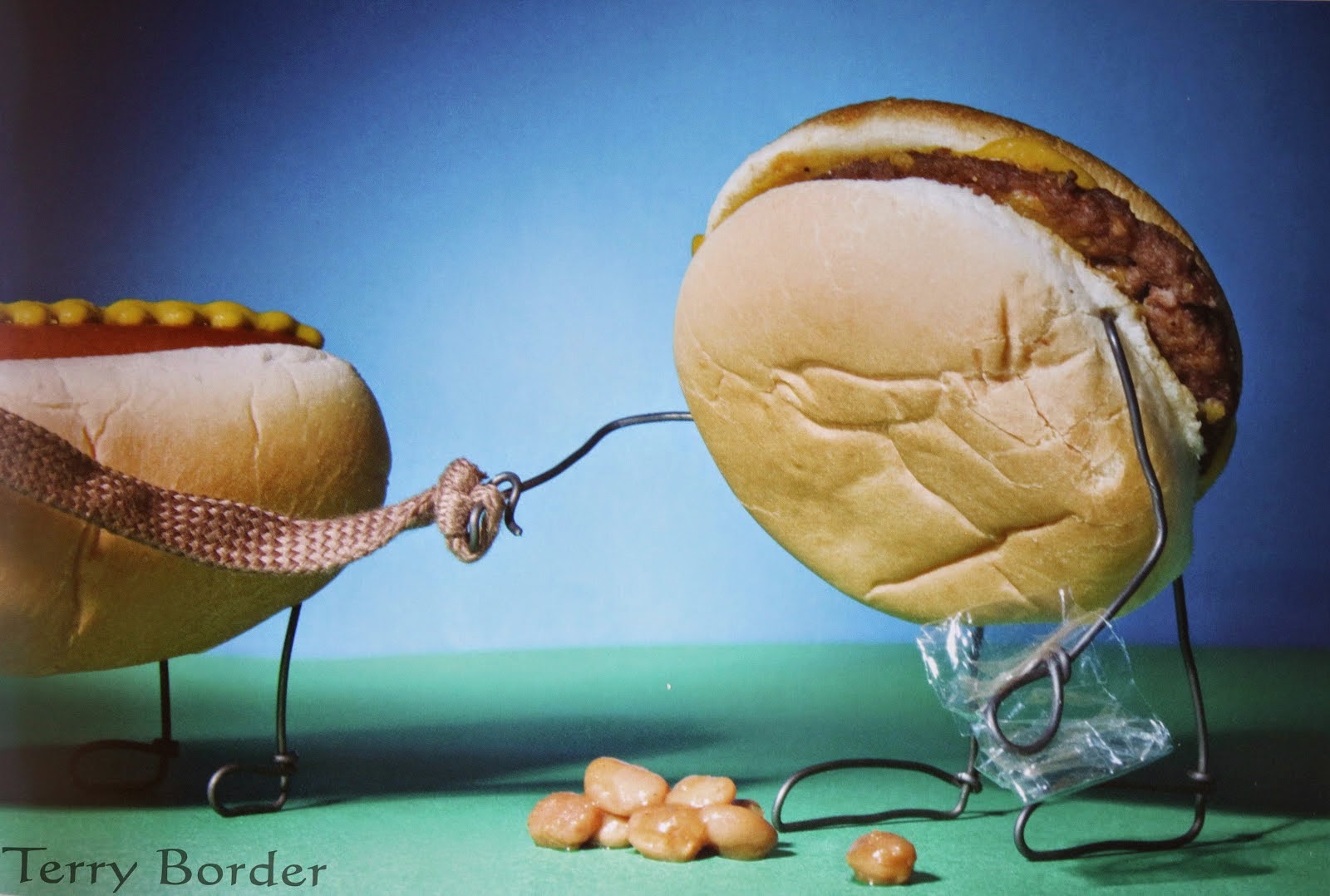 Children's Atheneum: Peanut Butter & Cupcake by Terry Border Book Review