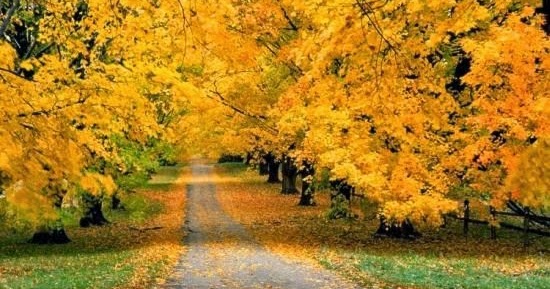 Dəyişən fəsillər : FƏSİLLƏR