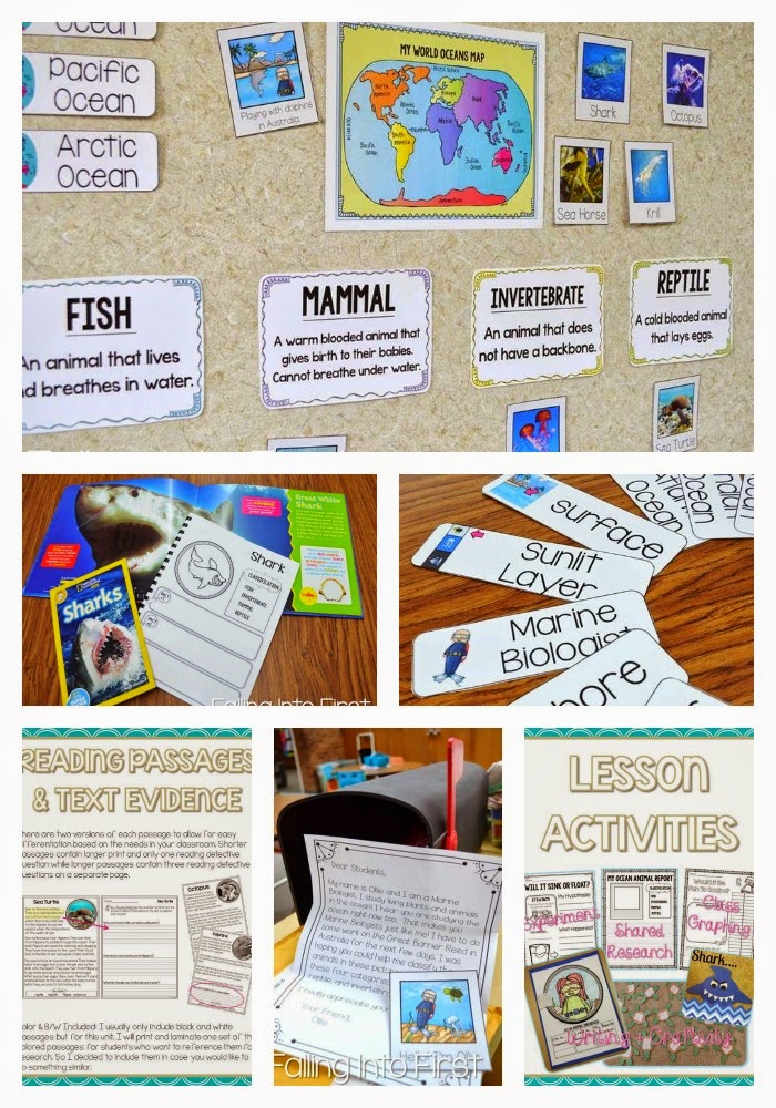 All About Ocean Life | Falling into First