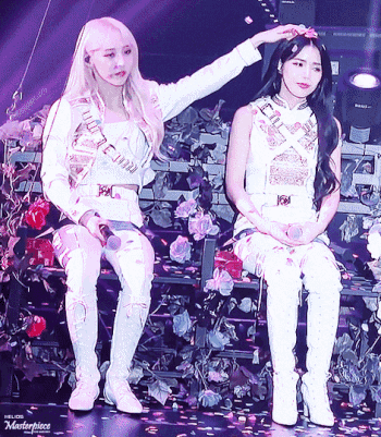 D編集長の裏ブログ: [MAMAMOO] コンサートで感動したムンビョルが泣き始めたら・・・