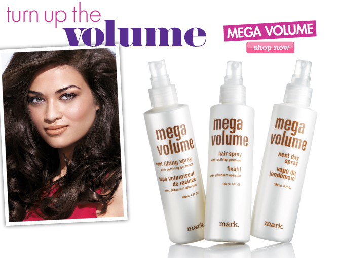 Erica's Fashion & Beauty: Mega Volume Hair Styling
