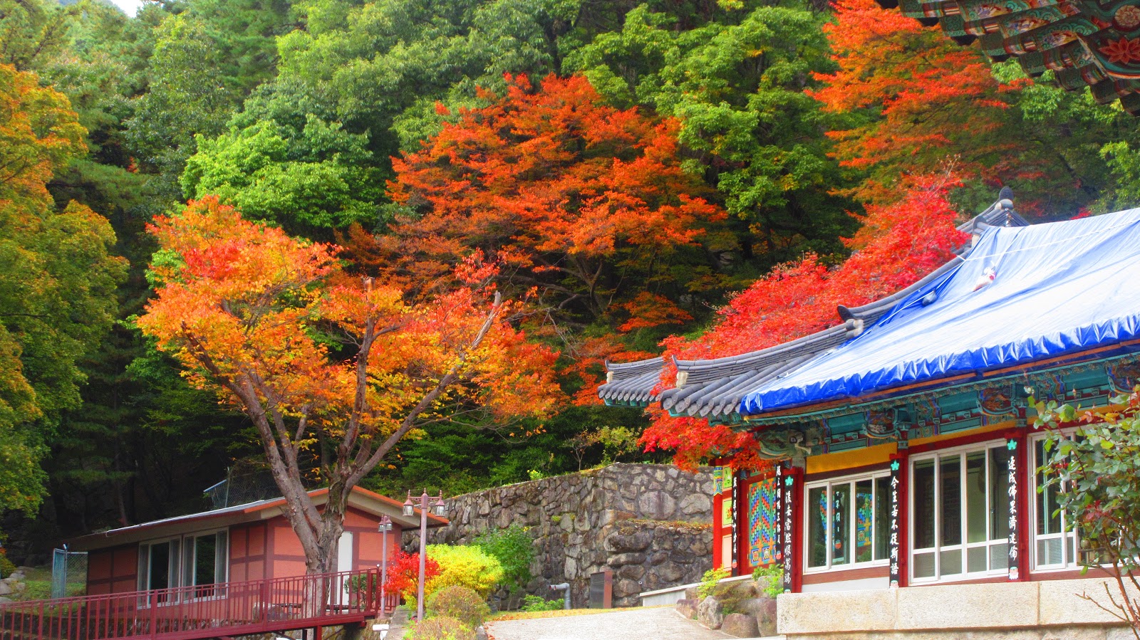 Travel Guide Budget and Itinerary for Daegu, Korea - The Wandering Juan