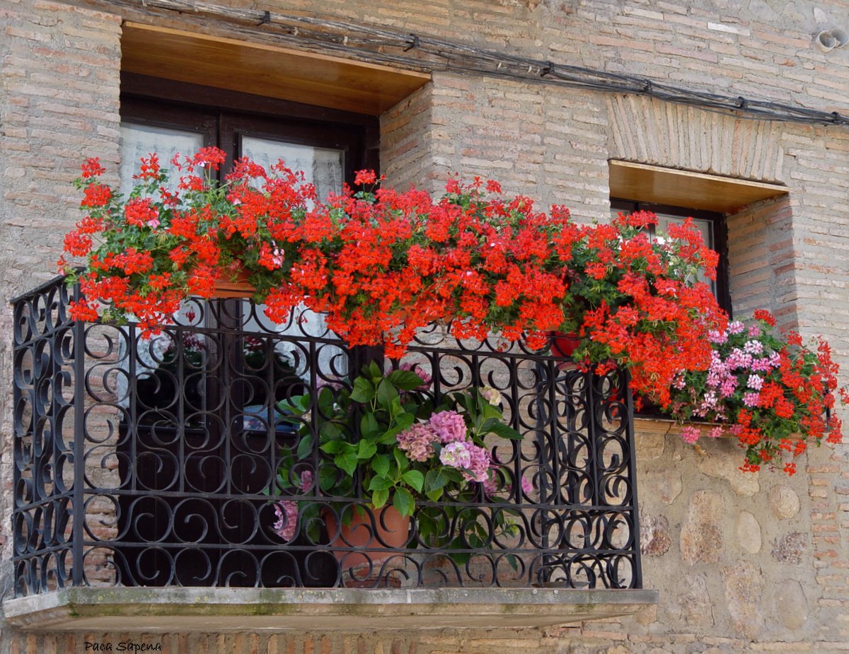 La Rioja de la A a la Z: PEDROSO - La Rioja