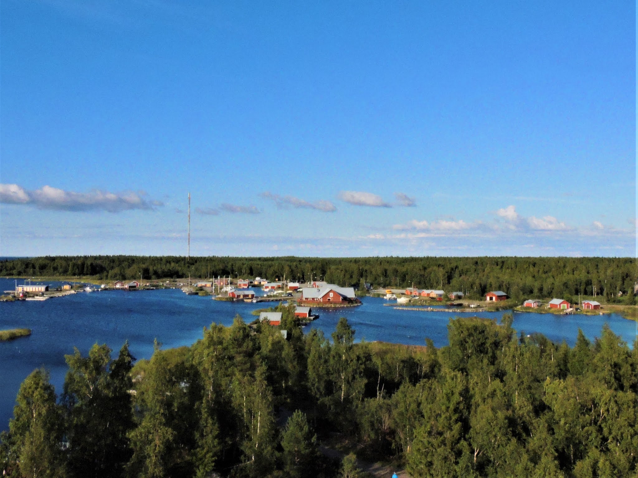 Gröna anemone: Salteriet och Saltkaret