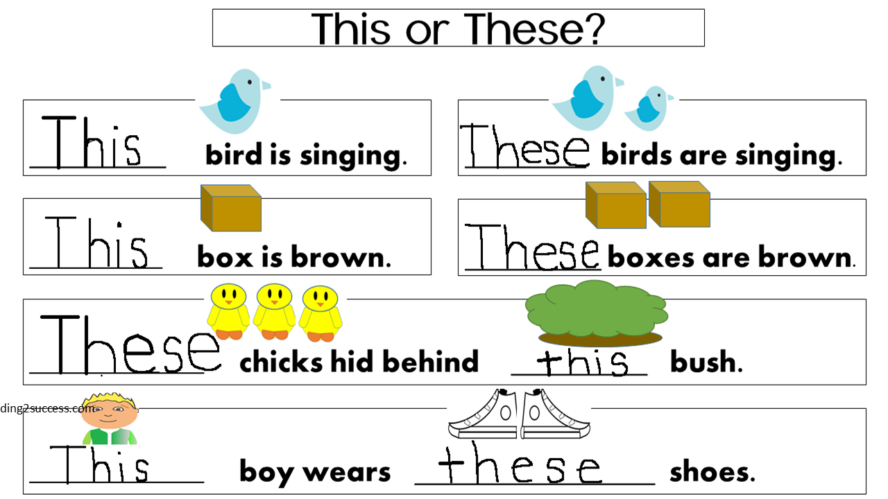 Reading2success: This or These?
