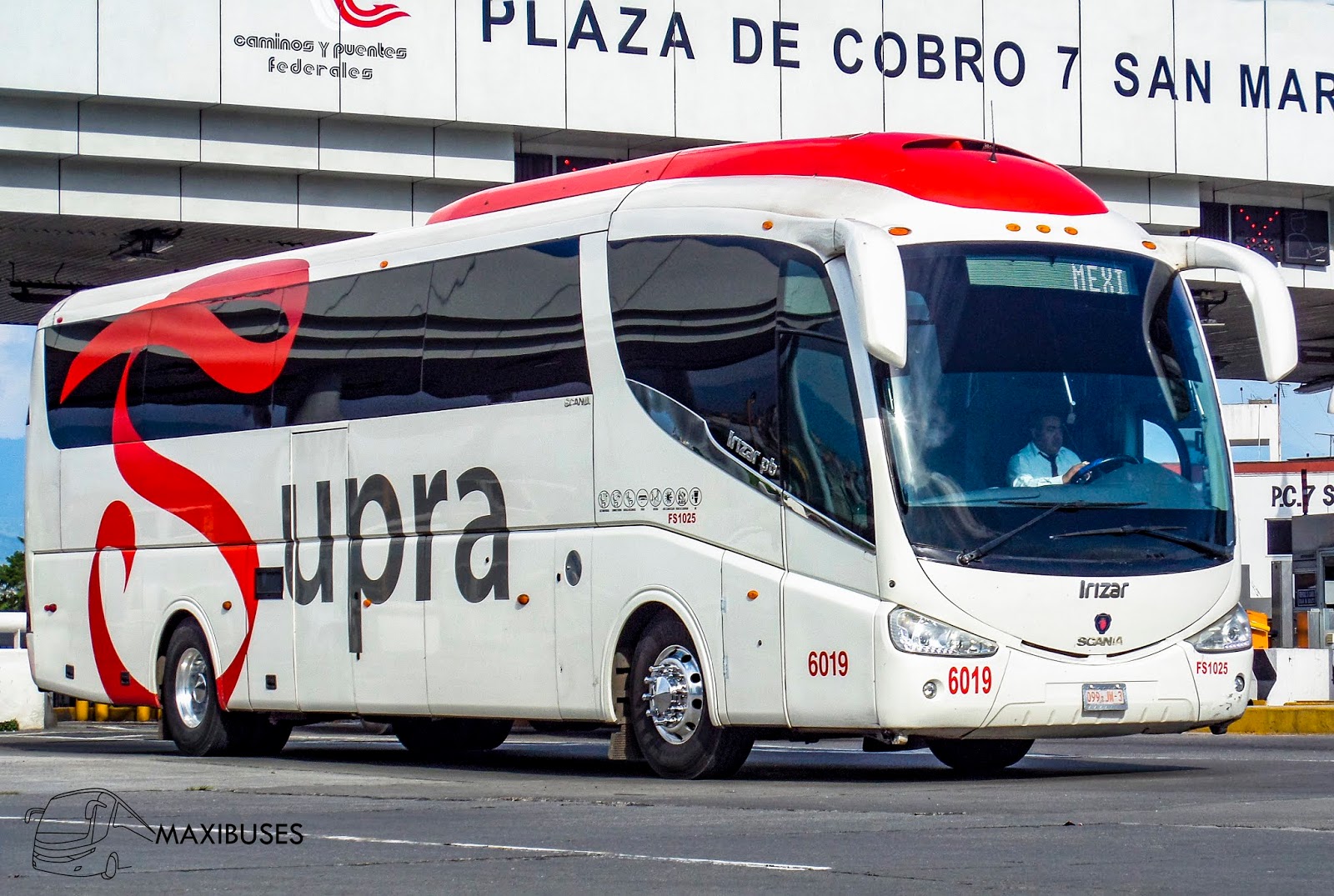 MAXIBUSES: SUPRA