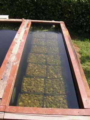 Anoxic Filtration System: What is an Anoxic Filtration System or the ...