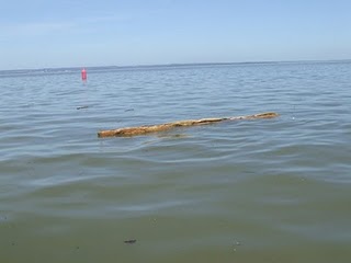 Mile Marker O: Floating Debris in the River and Bay