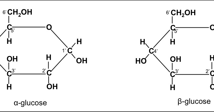 Natural polymers (Polysaccharides)