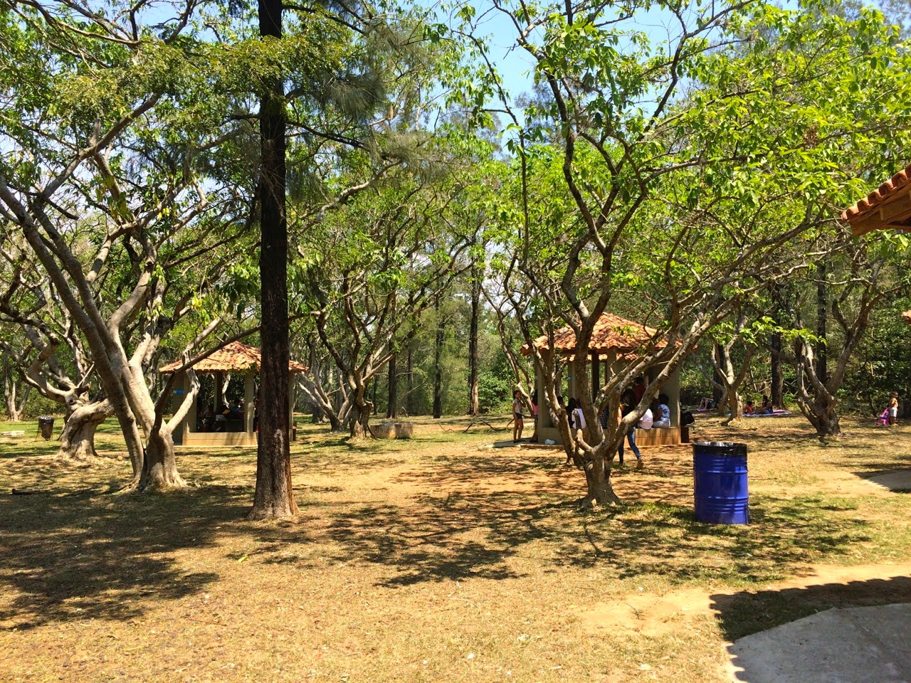 Parque Ecológico de Barueri (ex-Parque Ecológico do Tietê - Núcleo Ilha ...