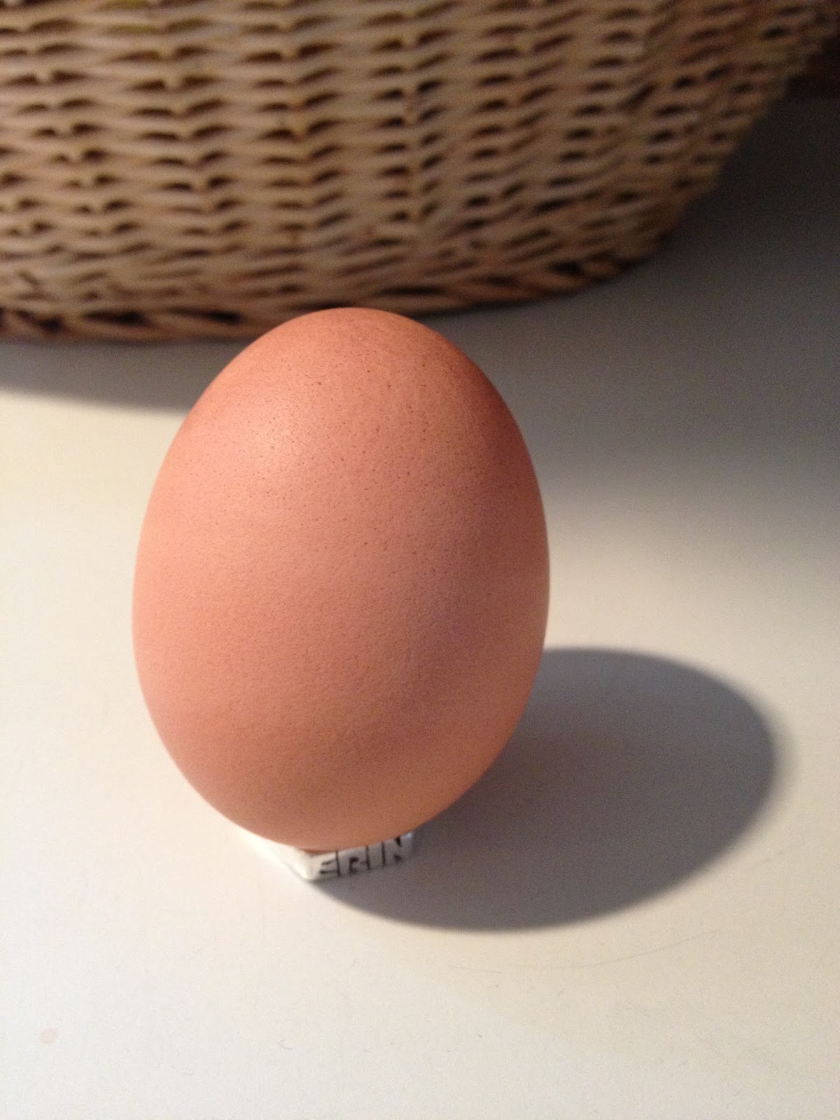 AP Biology Collection: Amniotic Egg