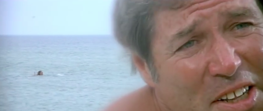 JAWS ANALYSIS : CAMERA ANGLE ANALYSIS