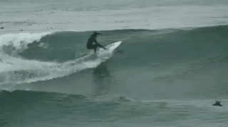 Surfing in Bislig: surfing wipeout gif