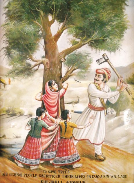 6th Class PLANT A TREE (Face-Sheet) ~ HARINATH VEMULA