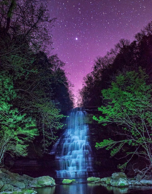 Enchanted Nights: Enchanted