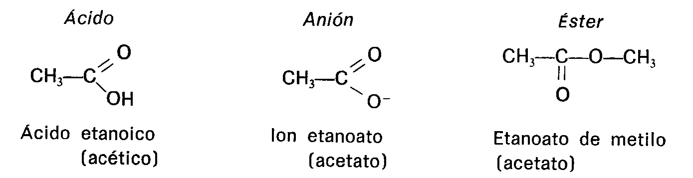 Trabajo de Quimica: Esteres