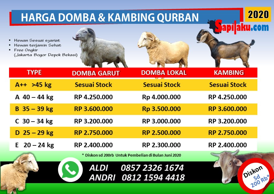 Jual Beli Kambing Kurban Domba Qurban Bantul Jogja