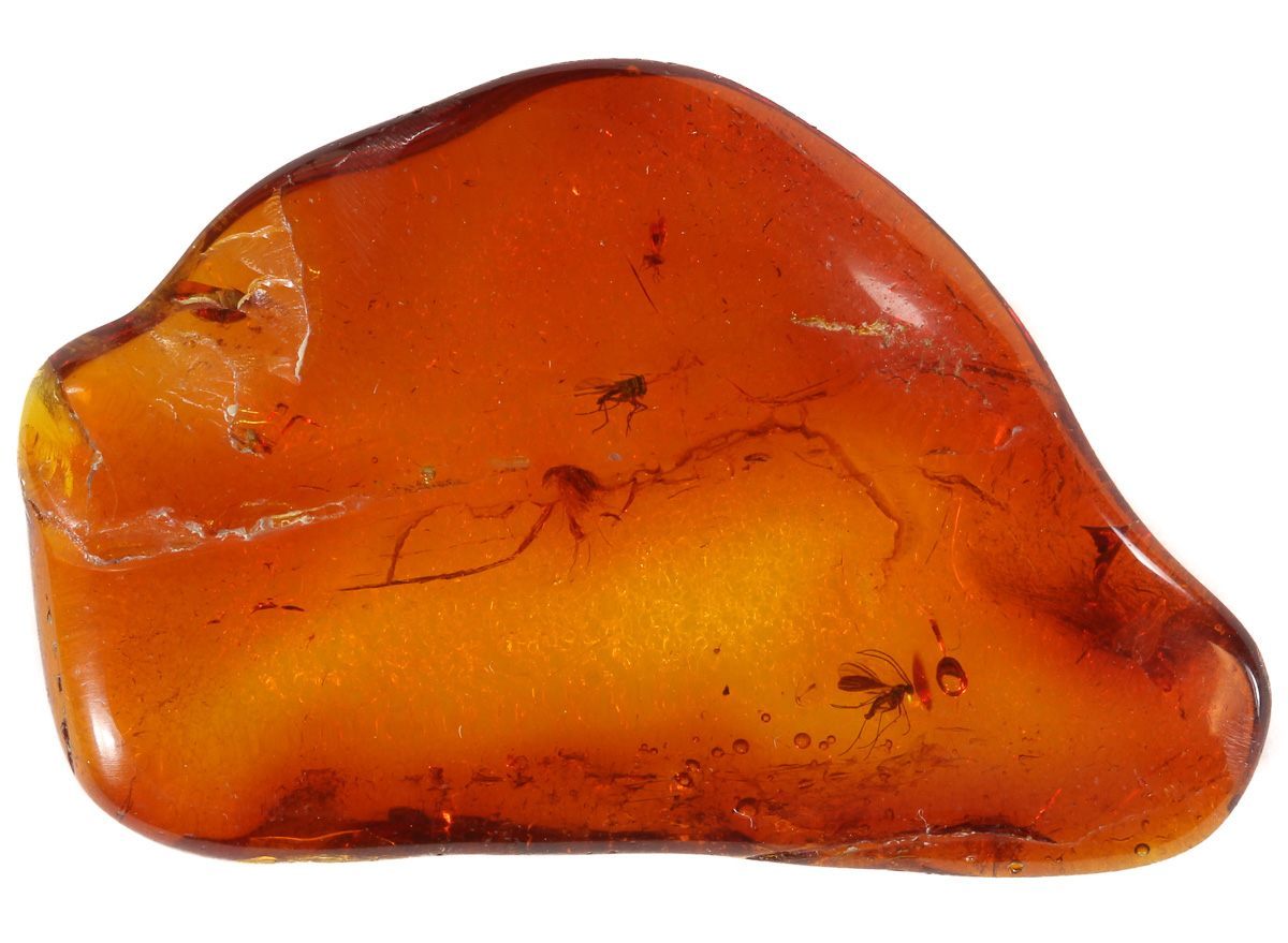 Old European culture: Sicilian amber