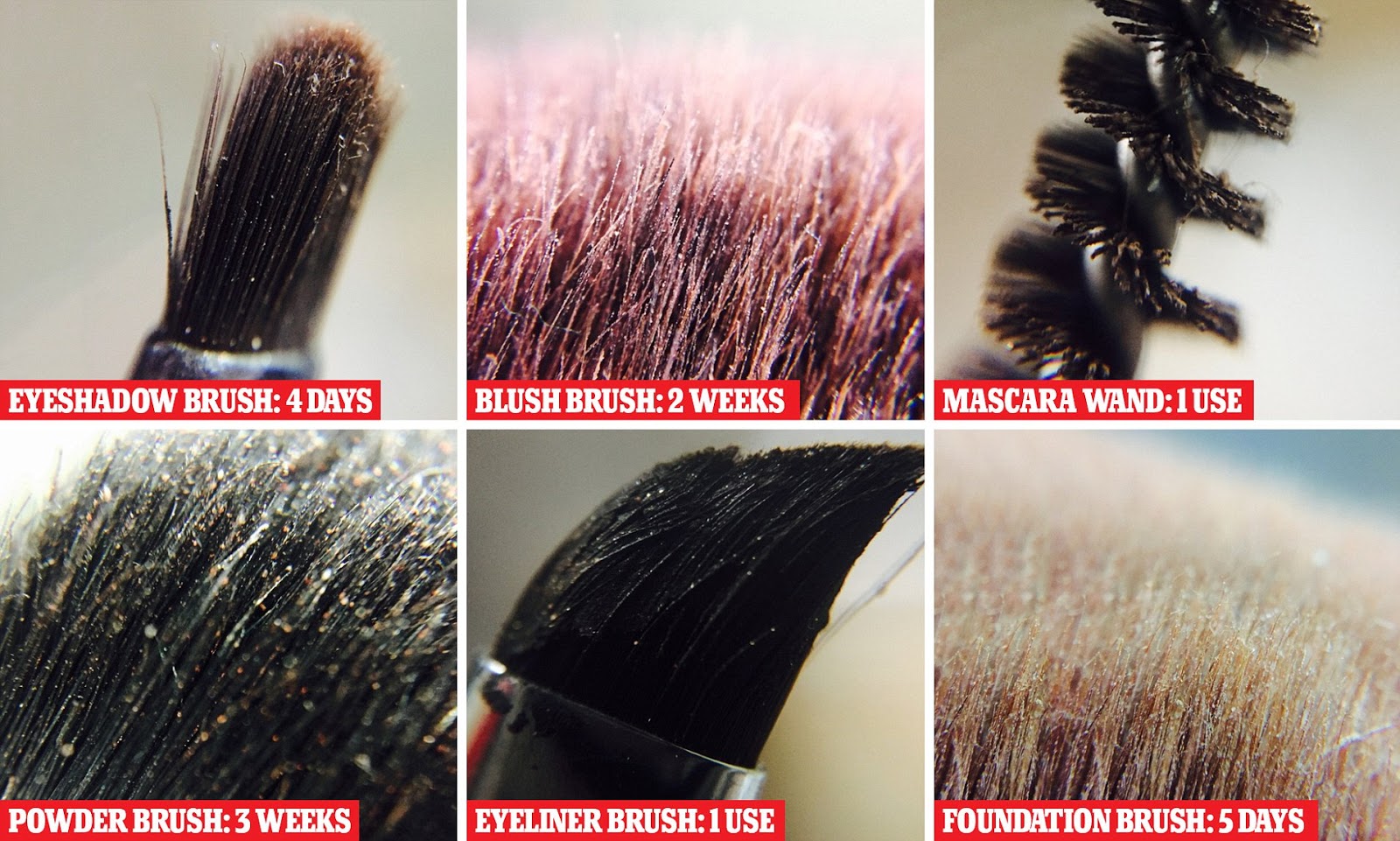 Healthy Nurul Beauty: Gruesome close up dirt on make up brushes after usage