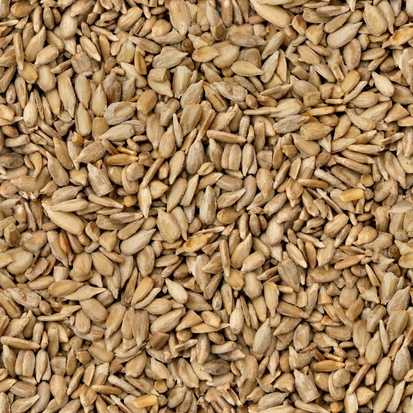 HIGH RESOLUTION TEXTURES: Tileable Seeds Texture