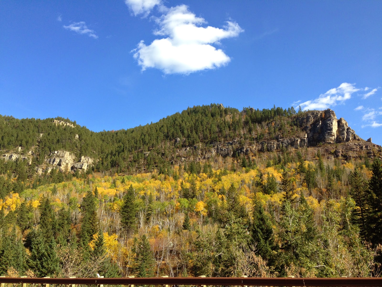 Trippin With The Talleys: THE CUSTER STATE PARK ANNUAL BUFFALO ROUNDUP