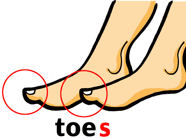 Vocabulario en imágenes. Maestra de Infantil y Primaria.: Body parts ...