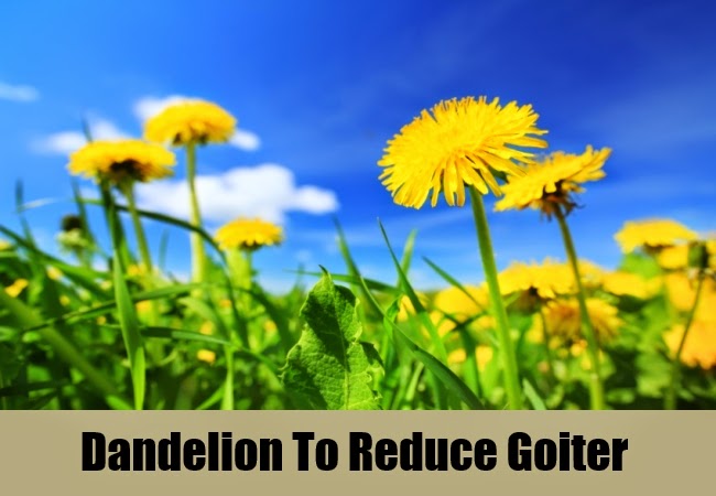 6 SIMPLE HERBAL REMEDIES FOR GOITER ~ Mzizi Mkavu