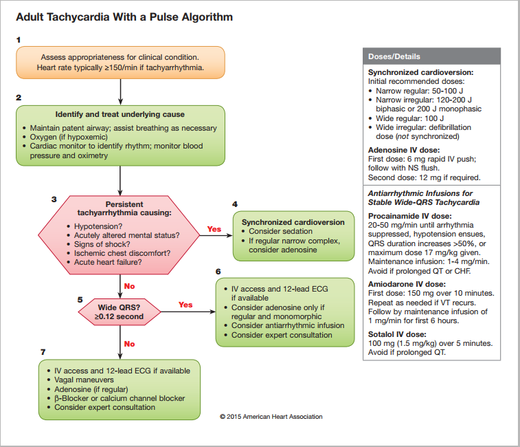 Acls Algorithms - Federal Resume
