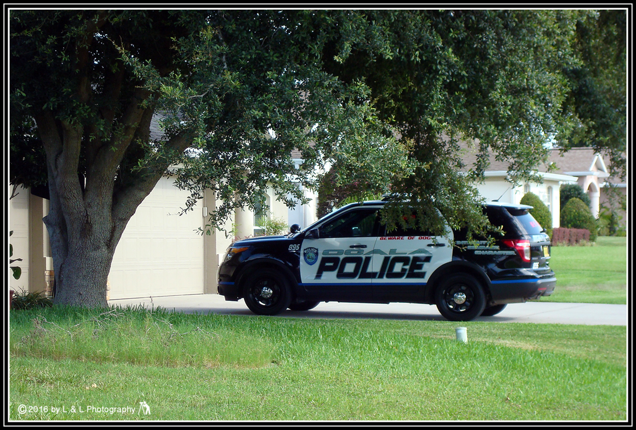 Ocala, Central Florida & Beyond: Police K-9 Unit Ocala, Central Florida & Beyond: Police K-9 Unit